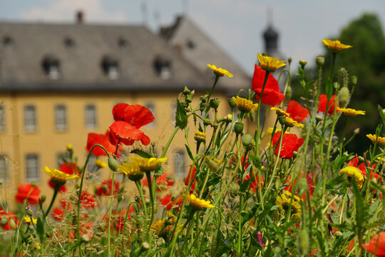 รูปภาพFarden – เลือกดูภาพถ่ายสต็อก เวกเตอร์ และวิดีโอ176 | Adobe Stock