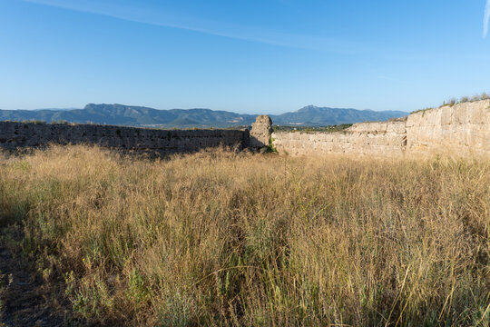 Xio Images – Browse 46 Stock Photos, Vectors, and Video | Adobe Stock