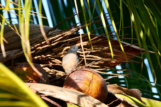 รูปภาพKurokutok – เลือกดูภาพถ่ายสต็อก เวกเตอร์ และวิดีโอ1,856 | Adobe Stock