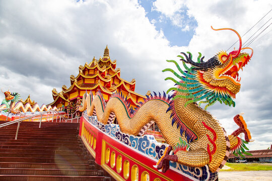 Suwan Bilder – Durchsuchen 559 Archivfotos, Vektorgrafiken und Videos ...