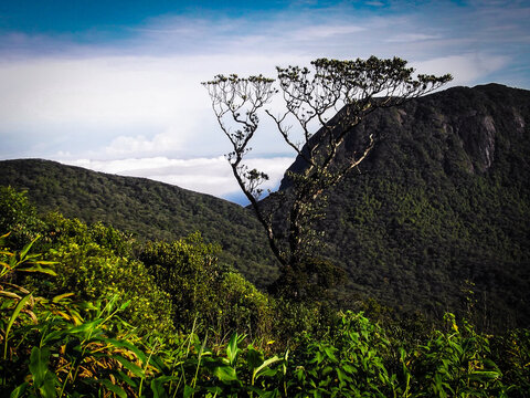 Siripade Images – Browse 52 Stock Photos, Vectors, and Video | Adobe Stock