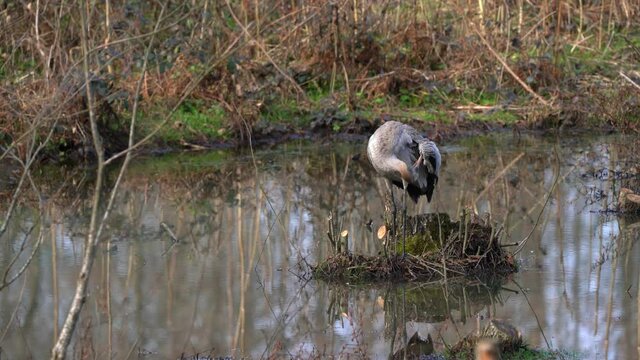 Quicksand Video Footage – Browse 327 HD Stock Video and Footage | Adobe ...