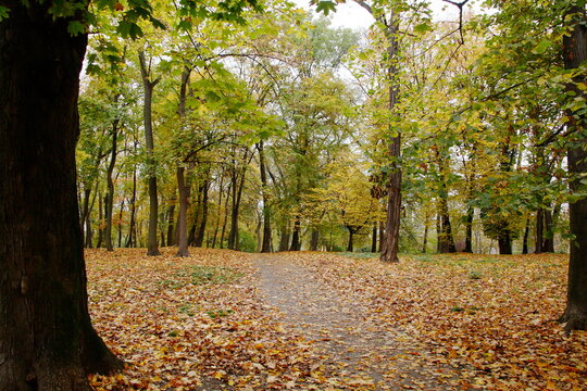 Glogow Images – Parcourir 484 le catalogue de photos, vecteurs et ...