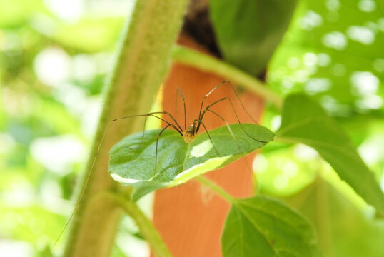 Haymaker Images – Parcourir 616 le catalogue de photos, vecteurs et ...