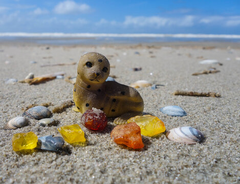 「Seerobbe」の画像 - 290 件の Stock 写真、ベクターおよびビデオ | Adobe Stock