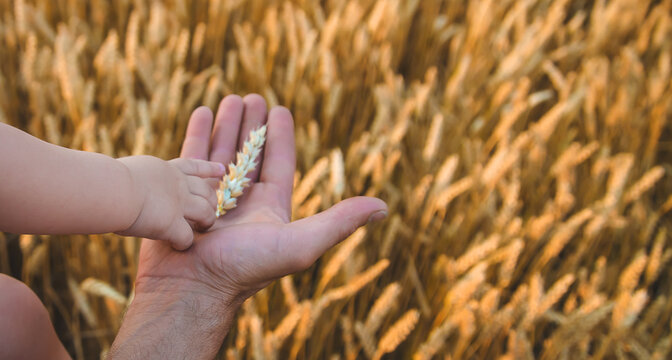 3,373 MIGLIORI IMMAGINI, FOTO STOCK E VETTORIALI PER Imene | Adobe Stock