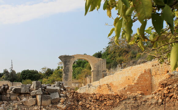 รูปภาพCorycus – เลือกดูภาพถ่ายสต็อก เวกเตอร์ และวิดีโอ1,208 | Adobe Stock