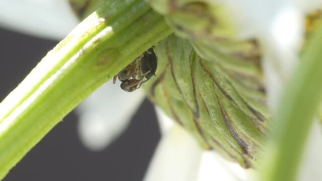 Tickle Video Footage – Browse 4,986 HD Stock Video and Footage | Adobe ...