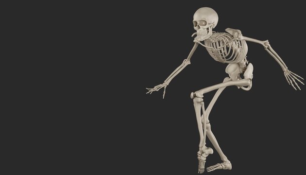 Skeleton Poses Images – Browse 15,567 Stock Photos, Vectors, and Video ...