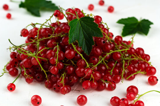 รูปภาพHorozontal – เลือกดูภาพถ่ายสต็อก เวกเตอร์ และวิดีโอ259 | Adobe Stock