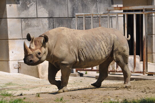 รูปภาพFera – เลือกดูภาพถ่ายสต็อก เวกเตอร์ และวิดีโอ716 | Adobe Stock
