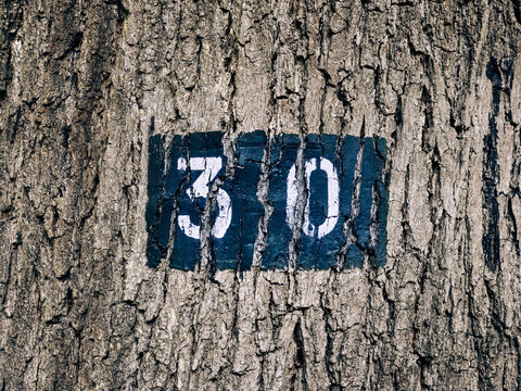 รูปภาพRugueux – เลือกดูภาพถ่ายสต็อก เวกเตอร์ และวิดีโอ860 | Adobe Stock