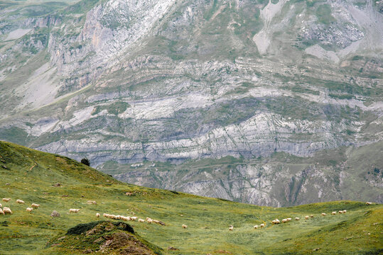 รูปภาพPortalet – เลือกดูภาพถ่ายสต็อก เวกเตอร์ และวิดีโอ571 | Adobe Stock