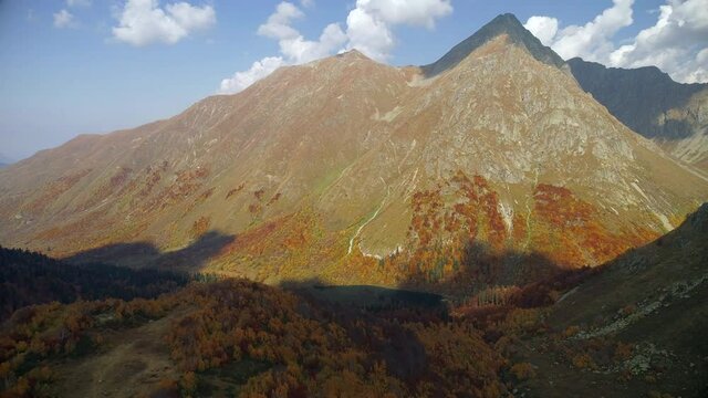 Muckleheads Images – Parcourir 1,284 le catalogue de photos, vecteurs ...