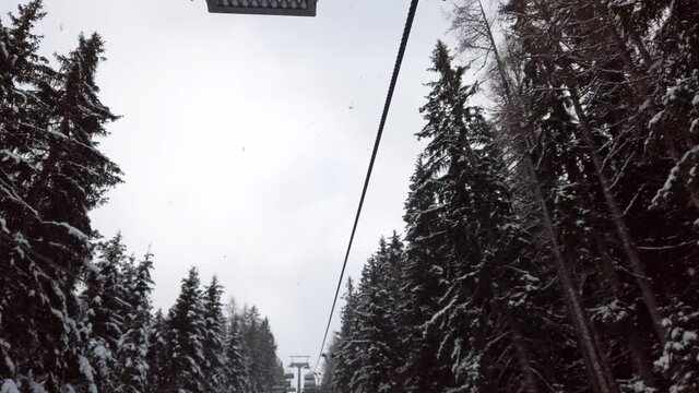 Elongation Images – Browse 2,169 Stock Photos, Vectors, and Video ...