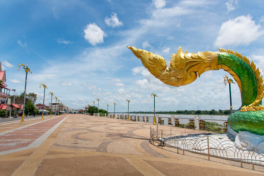รูปภาพLamduan – เลือกดูภาพถ่ายสต็อก เวกเตอร์ และวิดีโอ231 | Adobe Stock