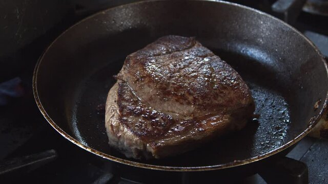 Spachelor Bilder – Durchsuchen 17 Archivfotos, Vektorgrafiken und ...