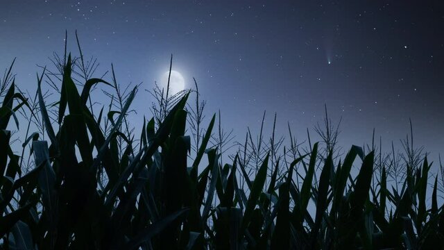 Corn Moon Images – Browse 2,355 Stock Photos, Vectors, and Video ...