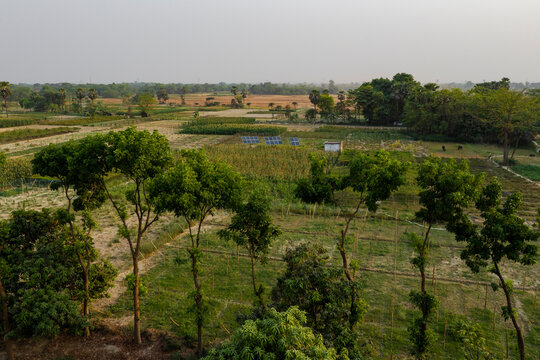 Pusa Images – Browse 13,240 Stock Photos, Vectors, and Video | Adobe Stock