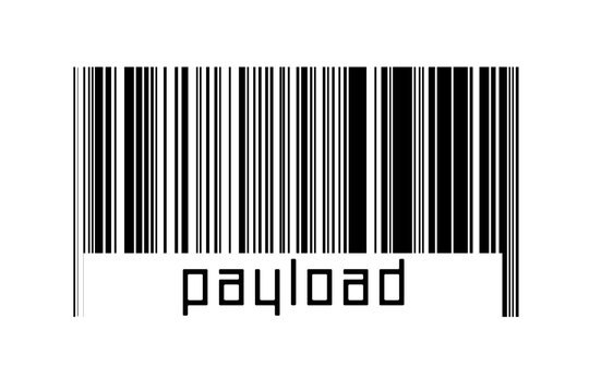 รูปภาพPayload – เลือกดูภาพถ่ายสต็อก เวกเตอร์ และวิดีโอ12,342 | Adobe Stock