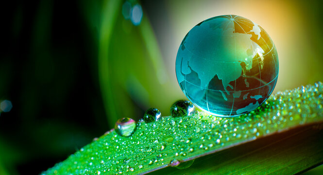 Free Sustainability Images – Browse 3,286 Free Stock Photos, Vectors ...