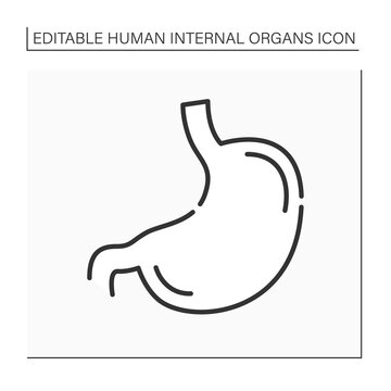 "Stomach Lining" Images – Browse 229 Stock Photos, Vectors, and Video ...