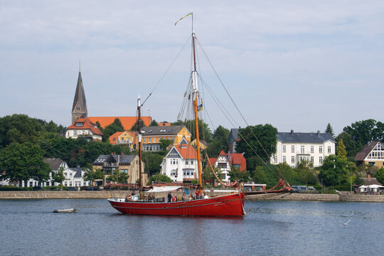 Borby Images – Browse 55 Stock Photos, Vectors, and Video | Adobe Stock