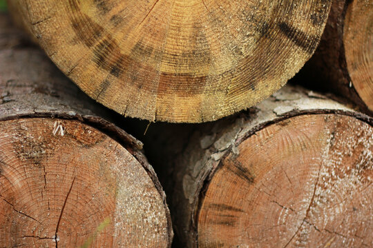 รูปภาพTribadism – เลือกดูภาพถ่ายสต็อก เวกเตอร์ และวิดีโอ10,920 | Adobe ...