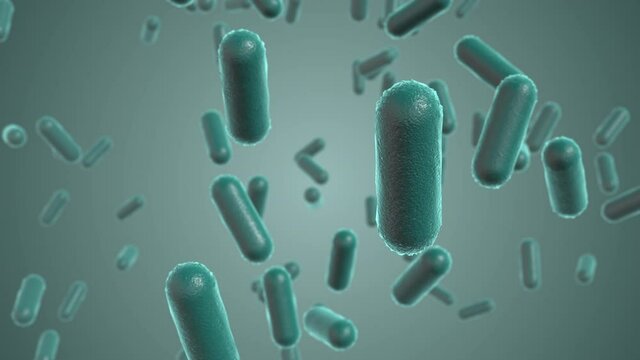 Typhus Images – Browse 1,792 Stock Photos, Vectors, and Video | Adobe Stock