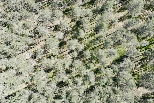 รูปภาพSun-Scorched – เลือกดูภาพถ่ายสต็อก เวกเตอร์ และวิดีโอ791 | Adobe ...