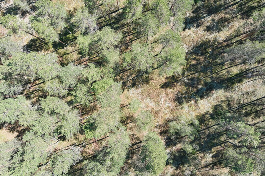 Imagens de Sun-Scorched – Explore Fotografias do Stock, Vetores e ...