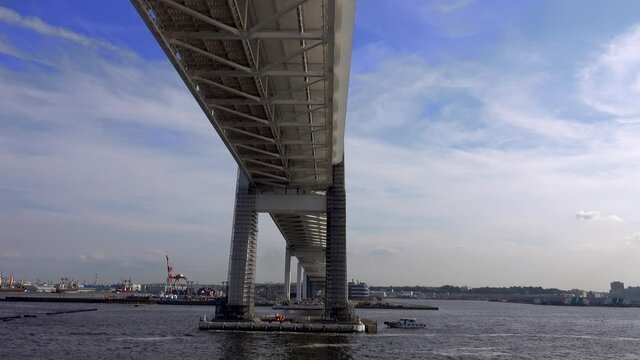 รูปภาพAkira – เลือกดูภาพถ่ายสต็อก เวกเตอร์ และวิดีโอ185 | Adobe Stock