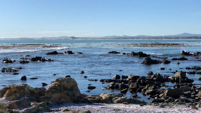 รูปภาพMelkbosstrand – เลือกดูภาพถ่ายสต็อก เวกเตอร์ และวิดีโอ92 | Adobe ...