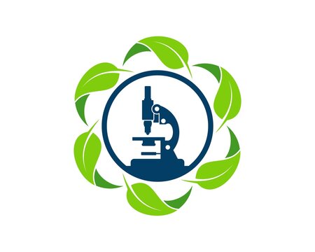Microscope Logo Vector