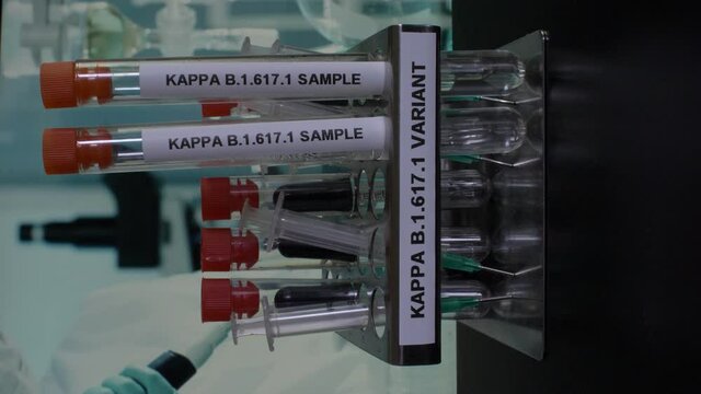 Kappa Video Footage – Browse 396 HD Stock Video and Footage | Adobe Stock