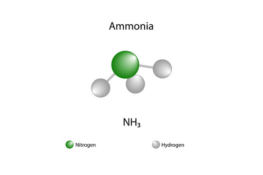 Nh3 Molecule Shape