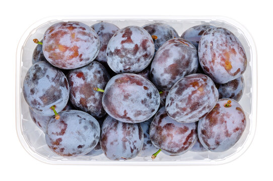 Fresh Prune Fruit