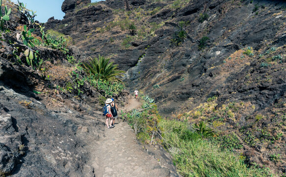 รูปภาพCoomb – เลือกดูภาพถ่ายสต็อก เวกเตอร์ และวิดีโอ1,255 | Adobe Stock