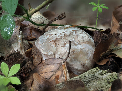 Destruenten Bilder – Durchsuchen 2,561 Archivfotos, Vektorgrafiken und ...