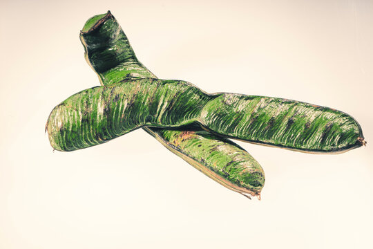 รูปภาพGuaba – เลือกดูภาพถ่ายสต็อก เวกเตอร์ และวิดีโอ1,430 | Adobe Stock