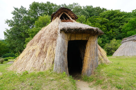 37 BEST Pit-House IMAGES, STOCK PHOTOS & VECTORS | Adobe Stock