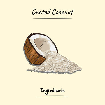 DIE 8,744 BESTEN BILDER, STOCK-FOTOS UND -VEKTORGRAFIKEN ZU „Buchennuss ...