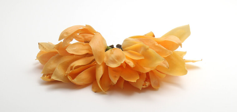 「Chafa」の画像 - 54 件の Stock 写真、ベクターおよびビデオ | Adobe Stock