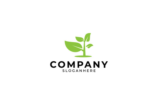 Leag Bilder – Durchsuchen 747 Archivfotos, Vektorgrafiken und Videos ...