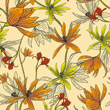 Arniko photos, images, assets | Adobe Stock