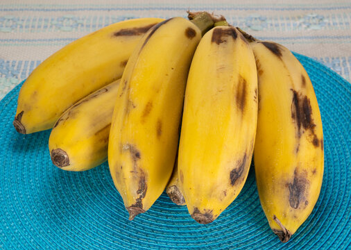 Latundan Images – Browse 3,630 Stock Photos, Vectors, and Video | Adobe ...