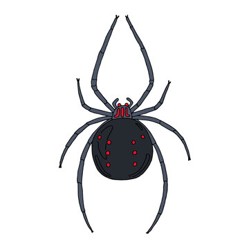 รูปภาพKarakurt – เลือกดูภาพถ่ายสต็อก เวกเตอร์ และวิดีโอ87 | Adobe Stock