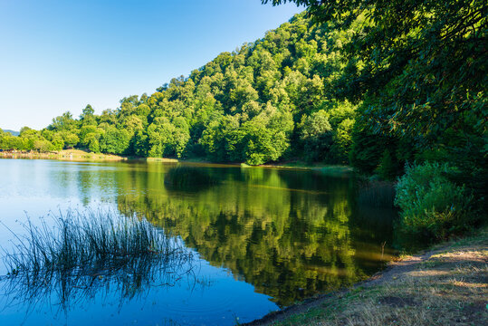 Dsegh-Bilder: Stock-Fotos & -Videos. | Adobe Stock