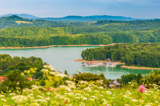 「Solina」の写真素材 | 2,102件の無料イラスト画像 | Adobe Stock