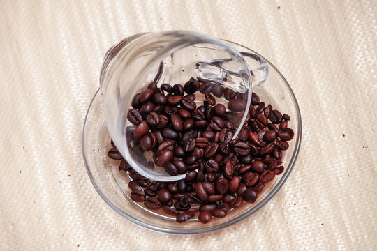 「Jamoke」の画像 - 4,530 件の Stock 写真、ベクターおよびビデオ | Adobe Stock